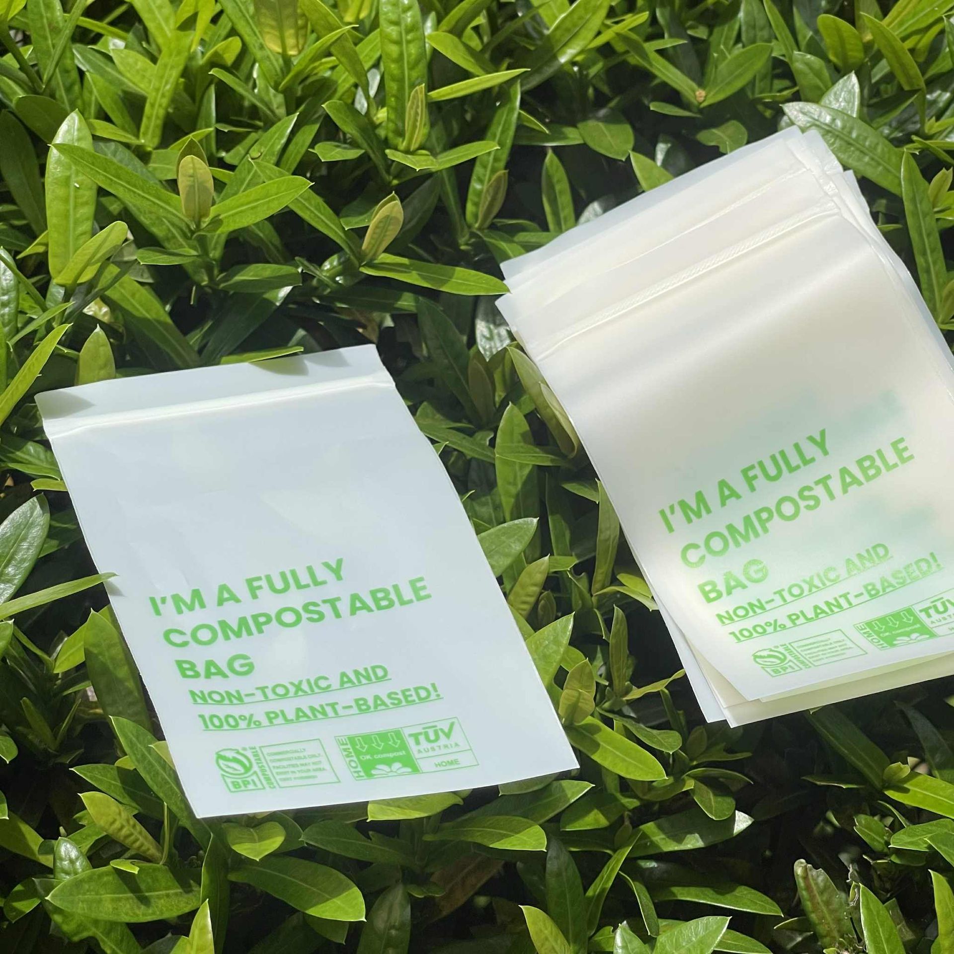 Our All-New Sustainable Packaging | Thai Design Distributors