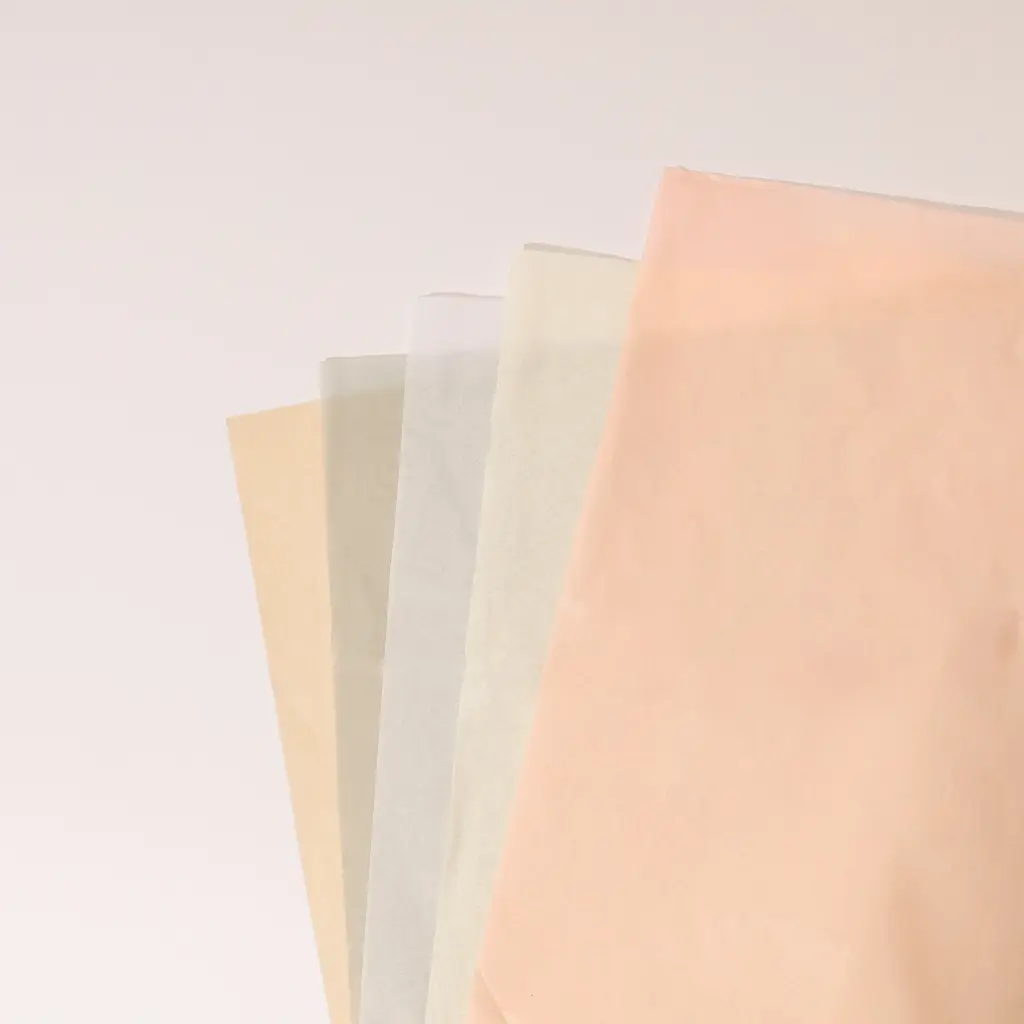 Disposable paper | Thai Design Distributors